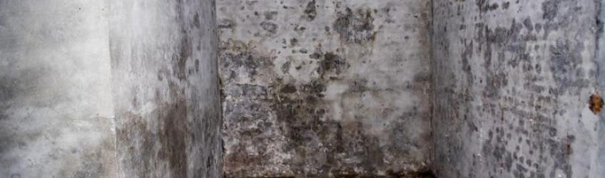 Tout savoir sur le cuvelage de sous-sol - Distriartisan